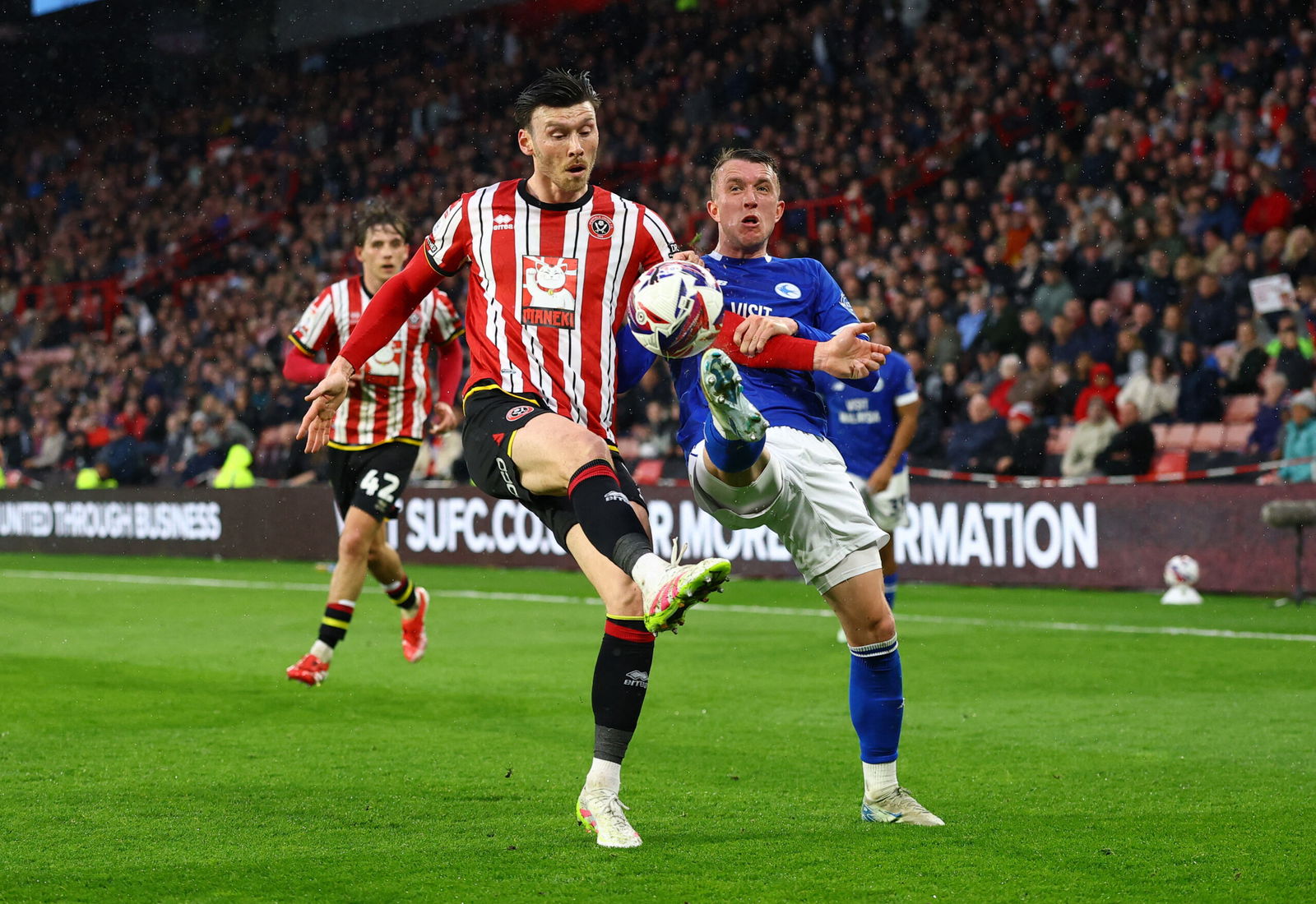 Watch: David Turnbull Given Celtic Nod Amid Cardiff Struggles | Latest ...